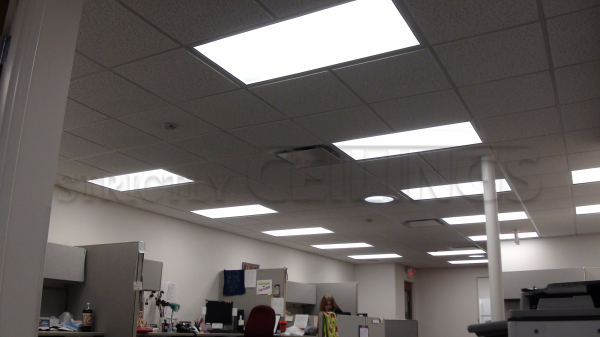 Basic Drop Ceiling Tile Showroom | Low Cost Drop Ceiling Tiles Design ...