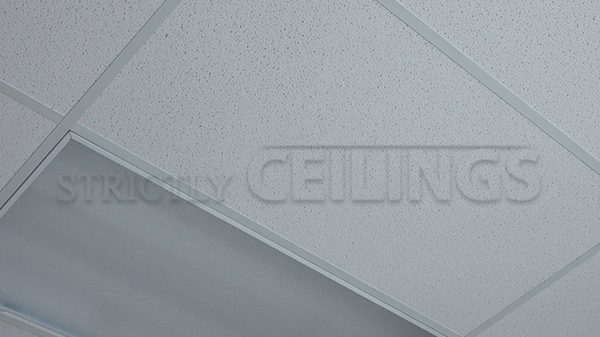 Basic Drop Ceiling Tile Showroom | Low Cost Drop Ceiling Tiles Design ...