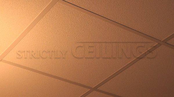 Mid-Range Drop Ceiling Tiles Designs | 2x2 & 2x4 Affordable Ceiling ...