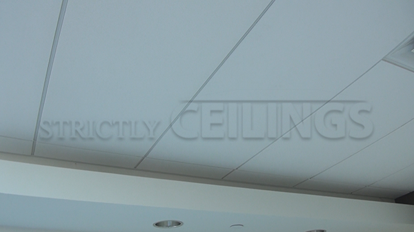 High-End Drop Ceiling Tile | Commercial and Residential Ceiling ...