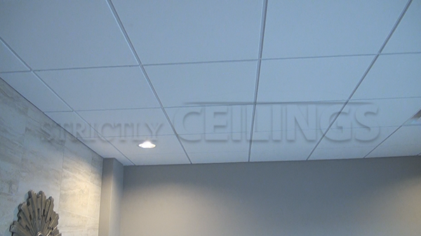 High-End Drop Ceiling Tile | Commercial and Residential Ceiling ...