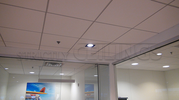 High-End Drop Ceiling Tile | Commercial and Residential Ceiling ...