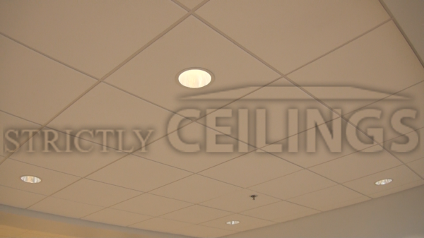 High-End Drop Ceiling Tile | Commercial and Residential Ceiling ...